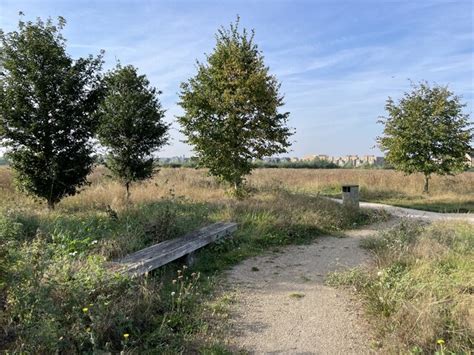 Compasspoint Cross Paths © Mr Ignavy Geograph Britain And Ireland