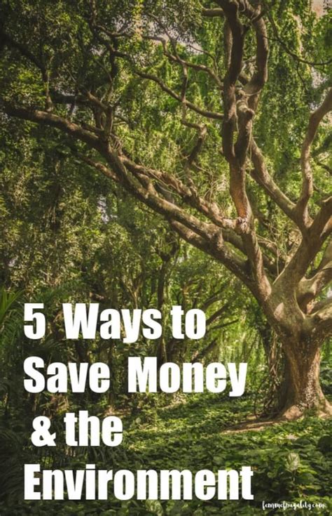 5 Ways To Save Money And The Environment Femme Frugality