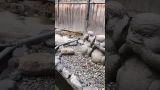 Naked PublicThis Is Big Japanese River Japaneseonsen Hotsprings