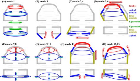 Descriptions Of The First 13 Lowest Frequency Modes Of Groel Groes
