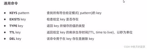 【redis】redis入门java操作redisjava Redis Csdn博客