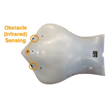 Python Lesson Obstacle Sensors Birdbrain Technologies