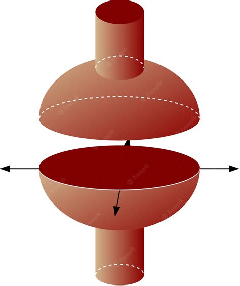 Synovial Plane Joint