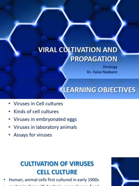 7 Viral Cultivation And Propagation Pdf Cell Culture Virus