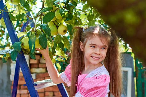 사다리를 오르는 농장에서 사과를 따는 아이 사과 나무 과수원에서 노는 어린 소녀 아이들은 유기농 과일을 선택합니다 가을 수확에서 건강한 과일을 먹는 아이 아이들을위한 야외
