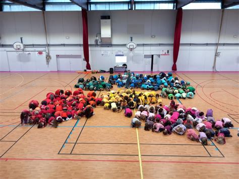 Mobilisation De L Cole Jules Ferry De Villefranche De Lauragais Autour Du T L Thon Acad Mie