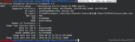 Roarctf2019 Forensic（内存取证） Csdn博客