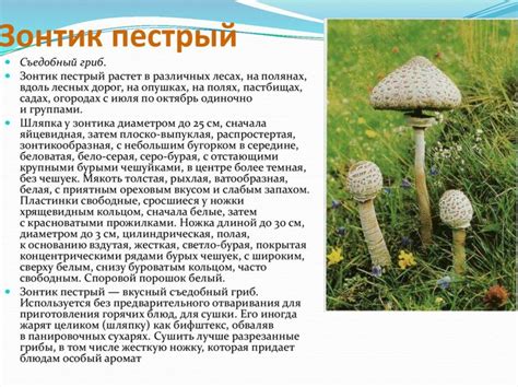 Гриб зонтик ядовитый 68 фото