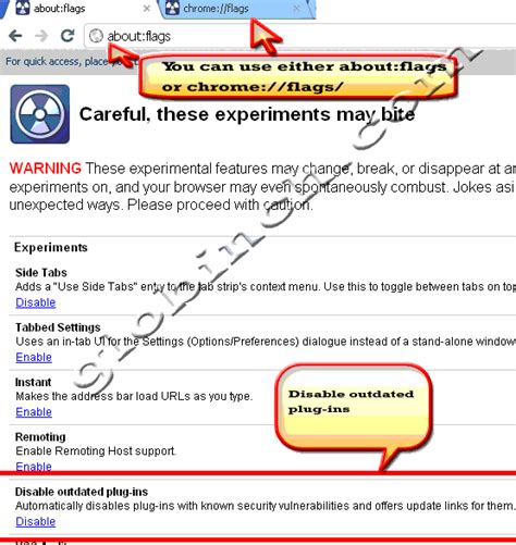 Google Chrome Flags Automatically Disable Outdated Plug Ins Globinch