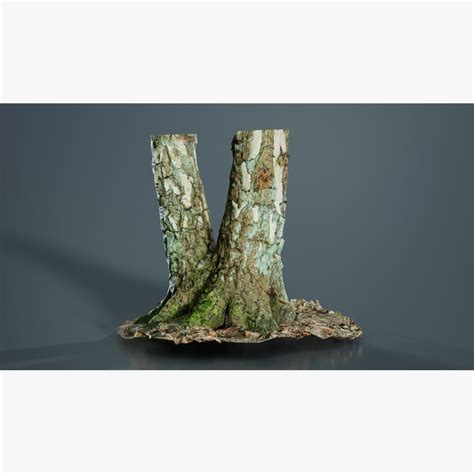 Split Tree Foundation Stump 3d Model Download Landscapes On