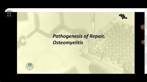 L1 2 Patho Pathogenesis Of Repair And Osteomylitis Youtube