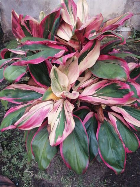 OraciÓn De La Noche Viernes 30 De Junio Del 2023