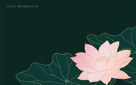 Lotus Background Vector Art Icons And Graphics For Free Download