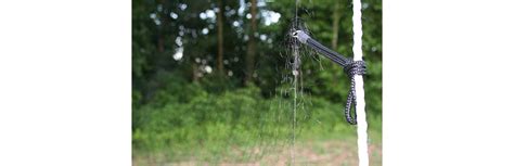 Endangered Species Monitoring Mist Netting Lochmueller Group