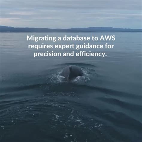 Epi Use Services For Aws On Linkedin Migratewithus Apnproud