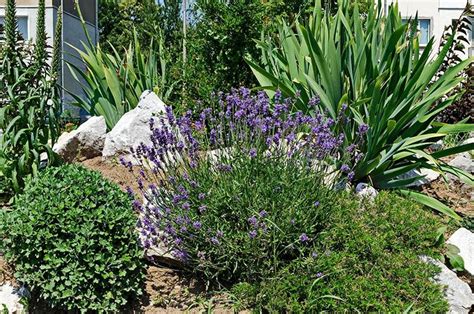6 Creative Rock Garden Ideas To Bring Nature Home Shrubhub