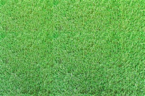 Premium Photo Green Leaves Texture For Background Or Wallpaper Nature