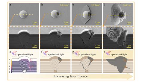 Morphologies Of Nodules Seed Diameter 550 Nm In The Coating Without