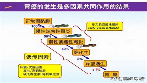 如何阻断萎缩性胃炎的癌变进程 MedSci cn