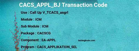CACS APPL BJ SAP Tcode For Call Up V TCACS Asgrl