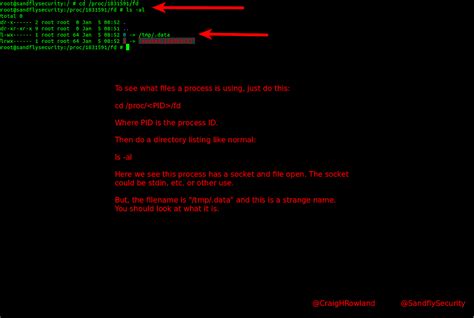 Investigating Linux Process File Descriptors For Incident Response And