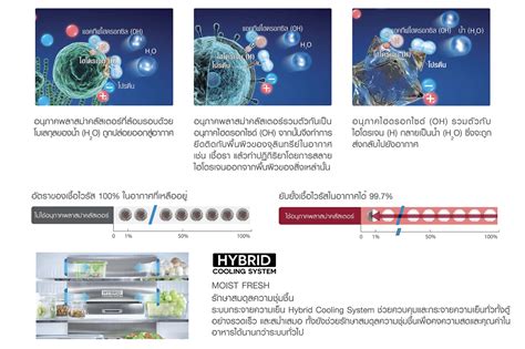 Sharp ตู้เย็น Multidoor 4 ประตู ขนาด 18 5 คิว รุ่น Sj Fx52gp Gooddeal