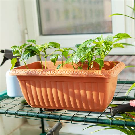 种菜花盆家庭阳台蔬菜长方形塑料专用种植神器家用草莓盆栽长条盆 虎窝淘