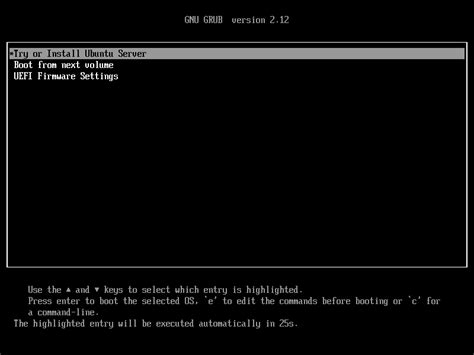 「to Skip Startup Nsh Or Any Other Key To Continue 」 の対応方法