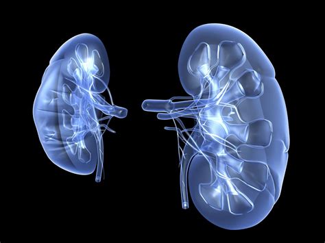 Polyuria Causes Diagnosis And Treatment