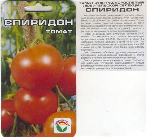 Томат Уральский ранний: характеристика и описание детерминантного сорта ...