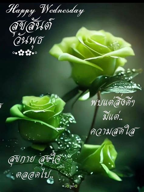 Good Day Good Morning Happy Wednesday Nice Lovely Sweet Buen Dia