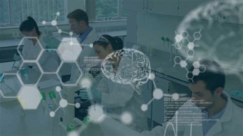 Animation Of Digital Brain With Molecules And Data Processing Over