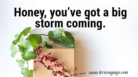 Vine Quotes