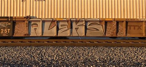 ALEKS R Traingraf
