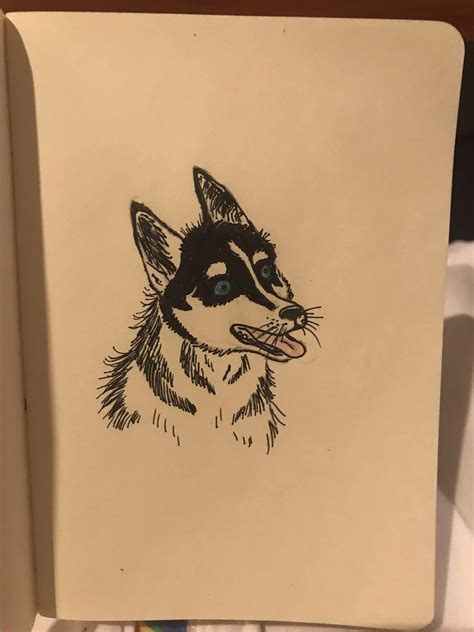 Share Your Most Drawable Dog Pictures So I Make A Quick Sketch Of Them