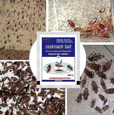 Polvo De Cucarachas Asesino De Cucarachas Polvo De Cucarachas De