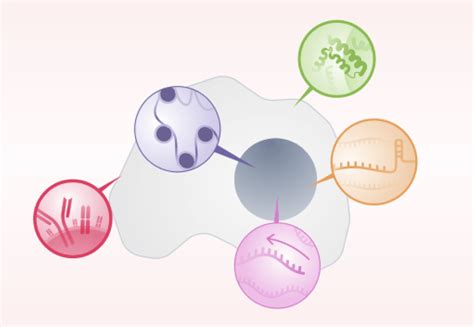 Flex Gene Expression 10x Genomics