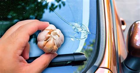 Strofina Uno Spicchio D Aglio Sul Parabrezza Molte Persone Lo Fanno Per Un Motivo Cruciale