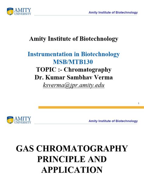 6 Gas Chromatography Principle And Application Pdf Gas Chromatography Chromatography