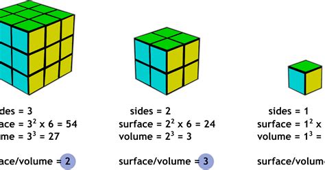 Mr Considine S Science Scholars Mass Volume And Density Videos