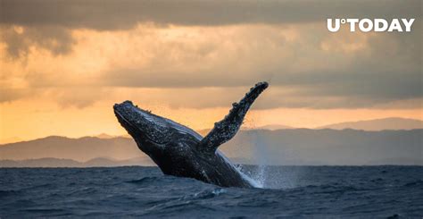 Ancient Ethereum Eth Whale Address Activated After Seven Years