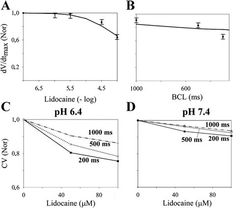 a and b validation of our model dashed lines with experimental data