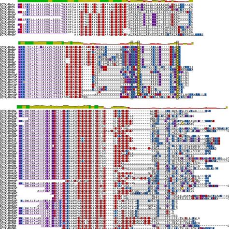 Amino Acid Sequence Alignments Of The Three Major Aculeatoxin Clades Of