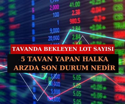 5 Tavan Yapan Halka Arzda Son Durum Nedir ENTRA Halka Arzında Tavanda