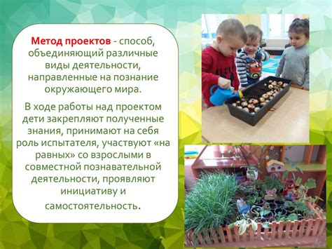 Развитие познавательного интереса у детей дошкольного возраста в процессе экологического