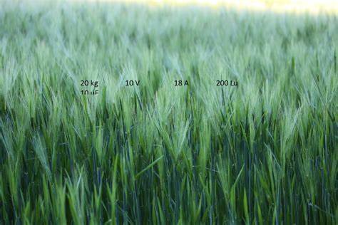 Almost Self Describing Bluetooth Characteristics