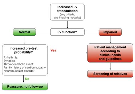 Normal Lv Function Paul Smith