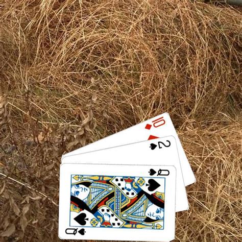 Playing Cards Object Detection Dataset And Pre Trained Model By Playing