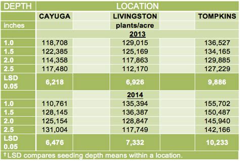 Soybean Planting Depth Affects Plant Populations But Not Always Yield