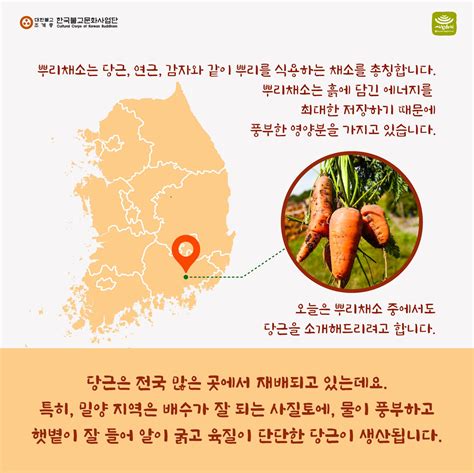 뿌리채소는 당근 연근 감자와 같이 뿌리를 식용하는 사찰음식 Korean Temple Food